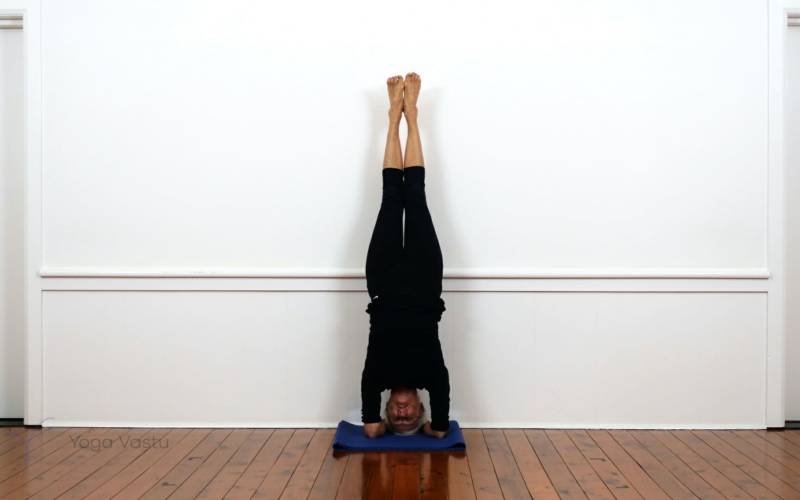 Intense Side Stretch Pose (Parsva Uttanasana) | Iyengar Yoga