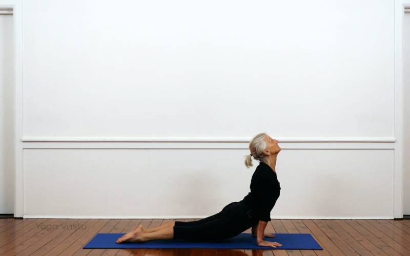 Intense Side Stretch Pose (Parsva Uttanasana) | Iyengar Yoga