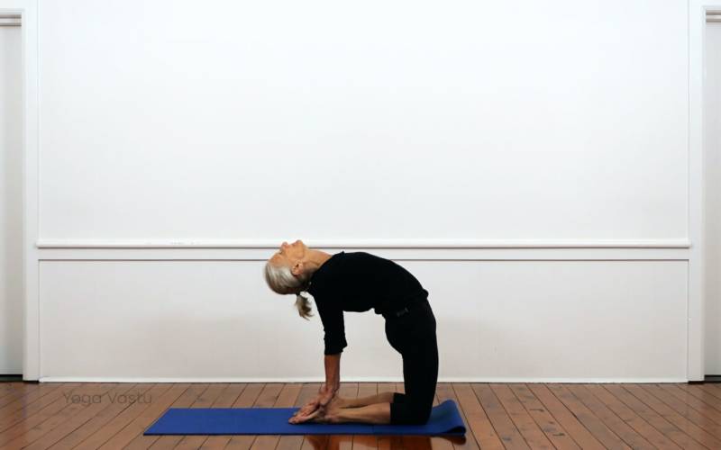 Intense Side Stretch Pose (Parsva Uttanasana) | Iyengar Yoga