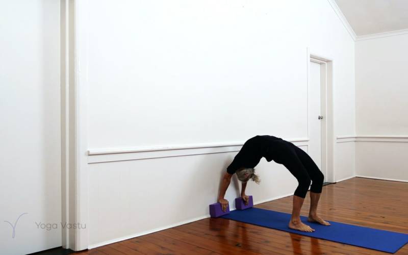 Intense Side Stretch Pose (Parsva Uttanasana) | Iyengar Yoga