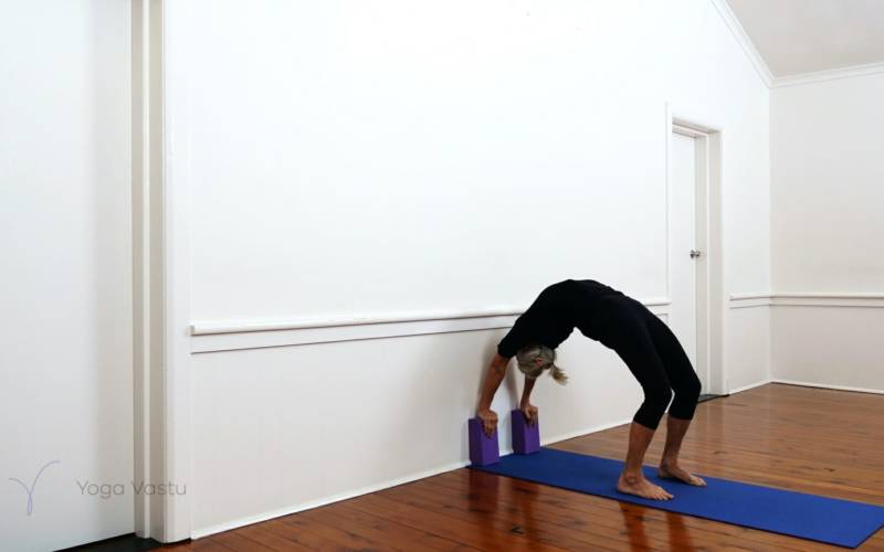 Wheel Pose (Urdhva Dhanurasana) | Iyengar Yoga