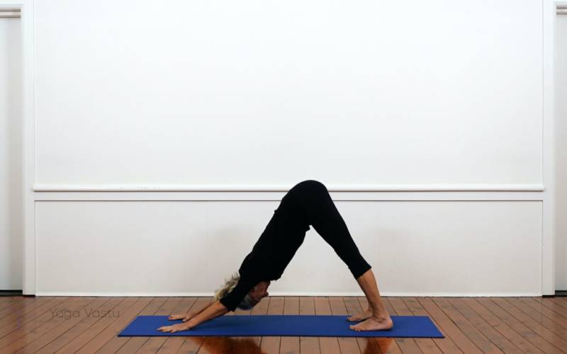 Intense Side Stretch Pose (Parsva Uttanasana) | Iyengar Yoga