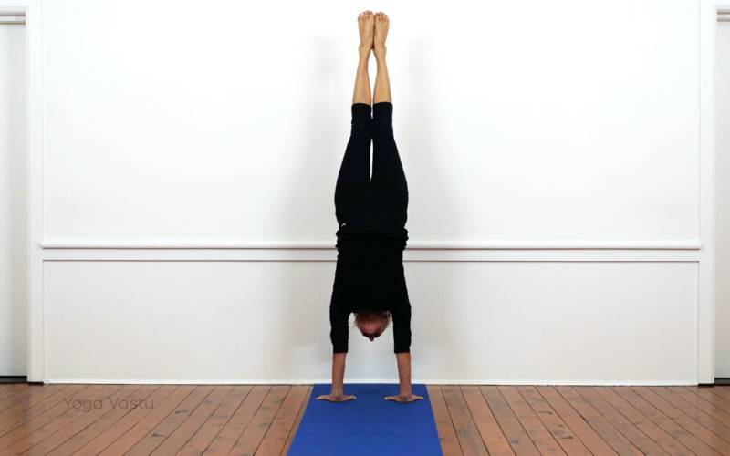 Intense Side Stretch Pose (Parsva Uttanasana) | Iyengar Yoga