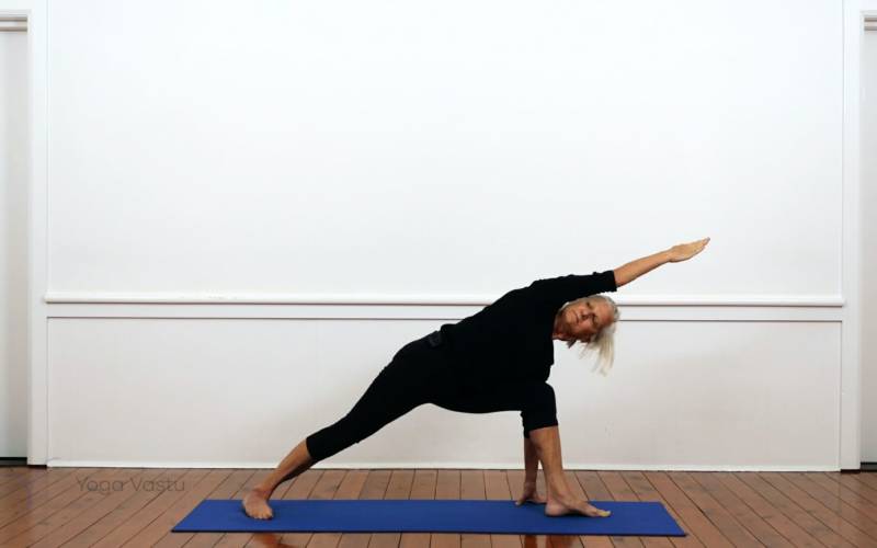 Intense Side Stretch Pose (Parsva Uttanasana) | Iyengar Yoga