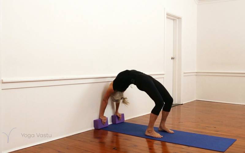 Scorpion Pose (Vrishikasana) | Iyengar Yoga