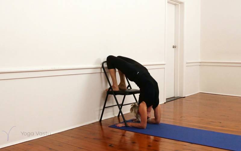 Scorpion Pose (Vrishikasana) | Iyengar Yoga