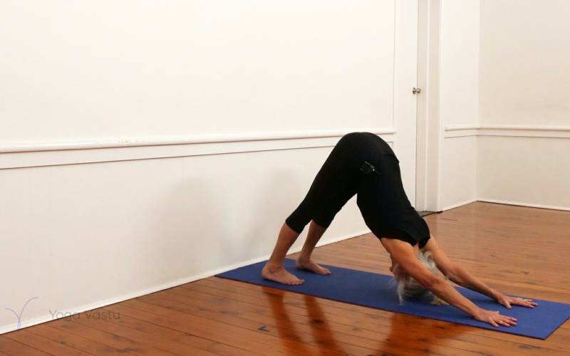 Plough Pose (Halasana) | Iyengar Yoga