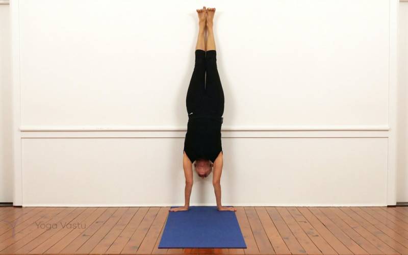 Scorpion Pose (Vrishikasana) | Iyengar Yoga