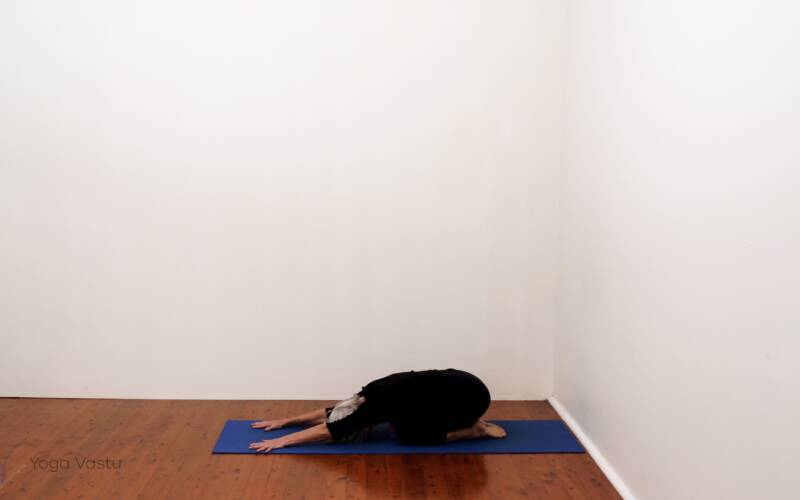 Iyengar yoga videos – backbend asanas - Yoga Vastu