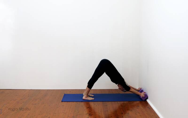 Iyengar yoga videos – backbend asanas - Yoga Vastu