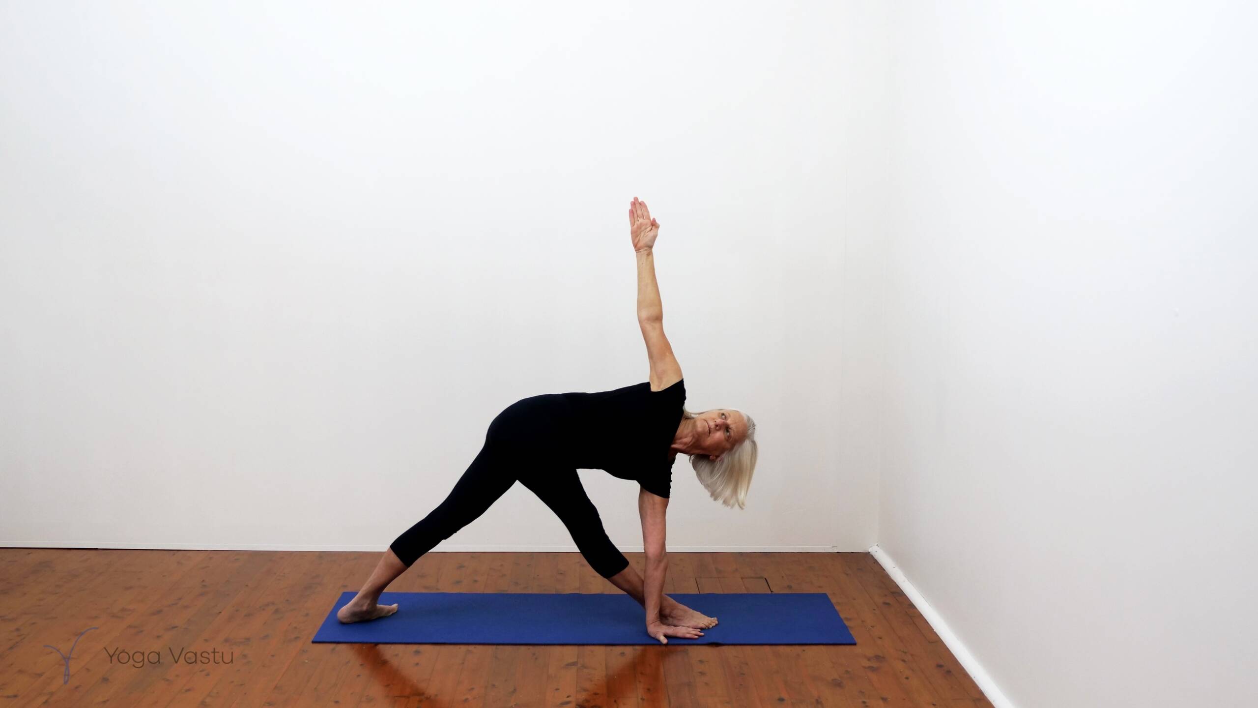 Standing Poses to Facilitate Progress - Yoga Vastu