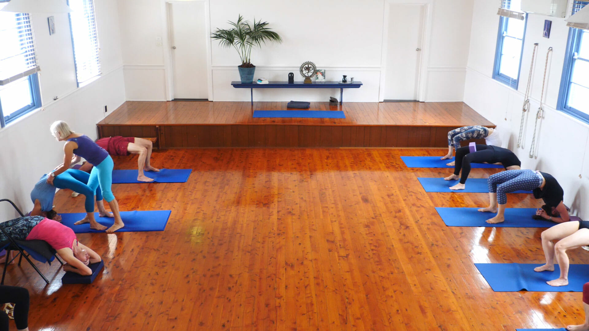 Backbends For Advanced Students 403 Yoga Vastu