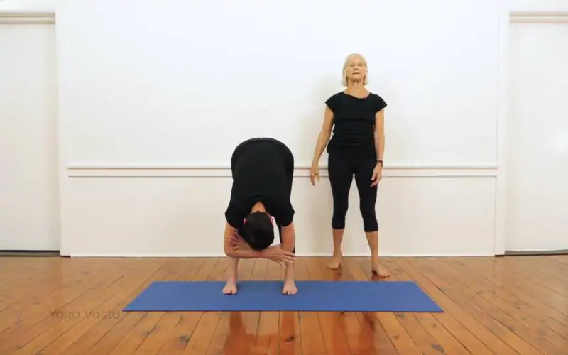 Revolved Side Angle Pose (Parivritta Parsvakonasana) | Iyengar Yoga