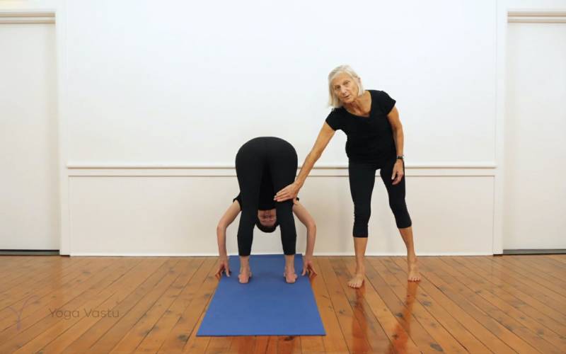 Revolved Side Angle Pose (Parivritta Parsvakonasana) | Iyengar Yoga