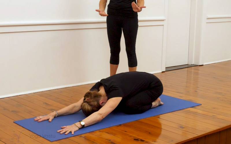 Scorpion Pose (Vrishikasana) | Iyengar Yoga