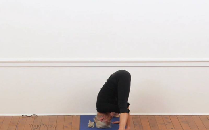 Intense Side Stretch Pose (Parsva Uttanasana) | Iyengar Yoga