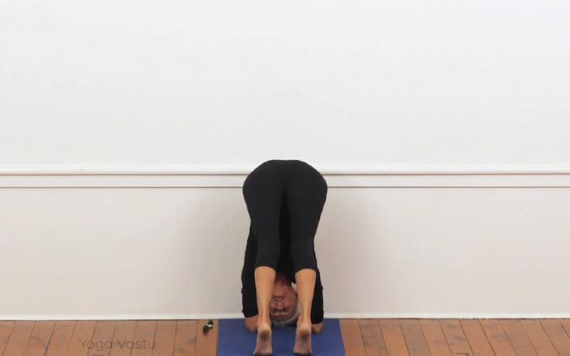 Intense Side Stretch Pose (Parsva Uttanasana) | Iyengar Yoga