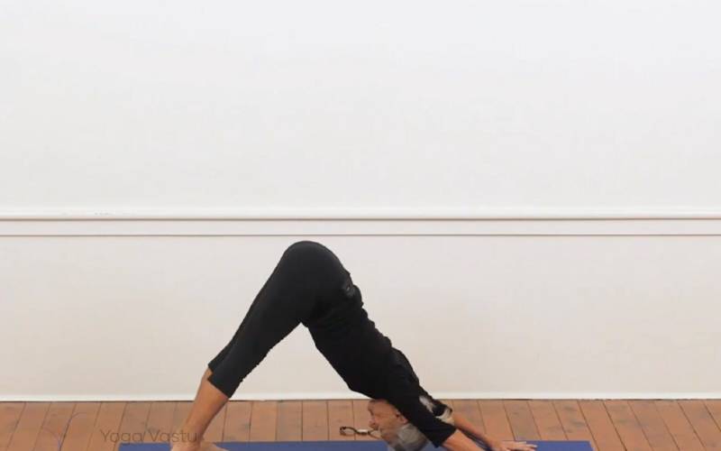 Intense Side Stretch Pose (Parsva Uttanasana) | Iyengar Yoga