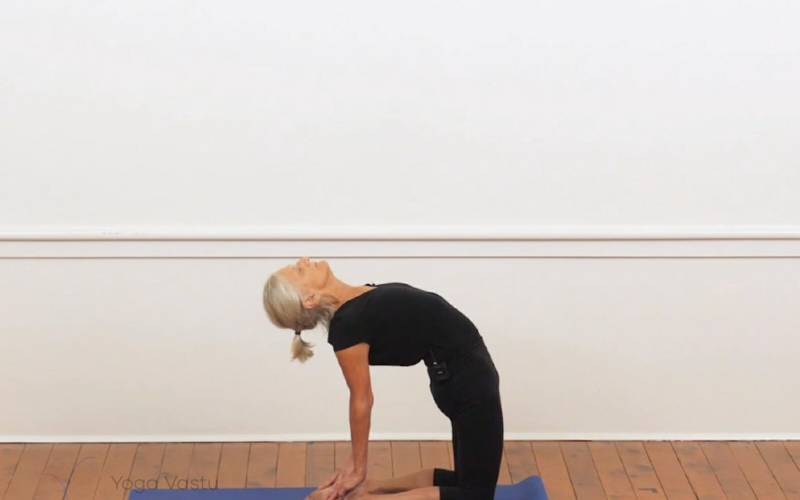 Intense Side Stretch Pose (Parsva Uttanasana) | Iyengar Yoga