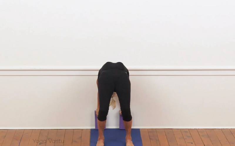 Intense Side Stretch Pose (Parsva Uttanasana) | Iyengar Yoga