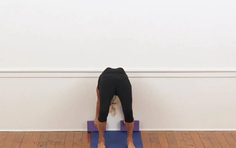 Intense Side Stretch Pose (Parsva Uttanasana) | Iyengar Yoga
