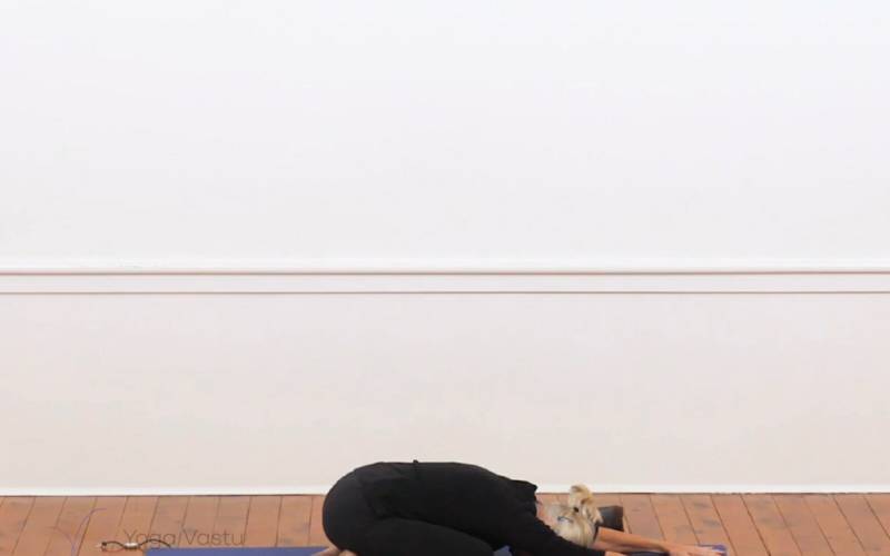 Intense Side Stretch Pose (Parsva Uttanasana) | Iyengar Yoga