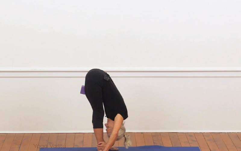 Intense Side Stretch Pose (Parsva Uttanasana) | Iyengar Yoga