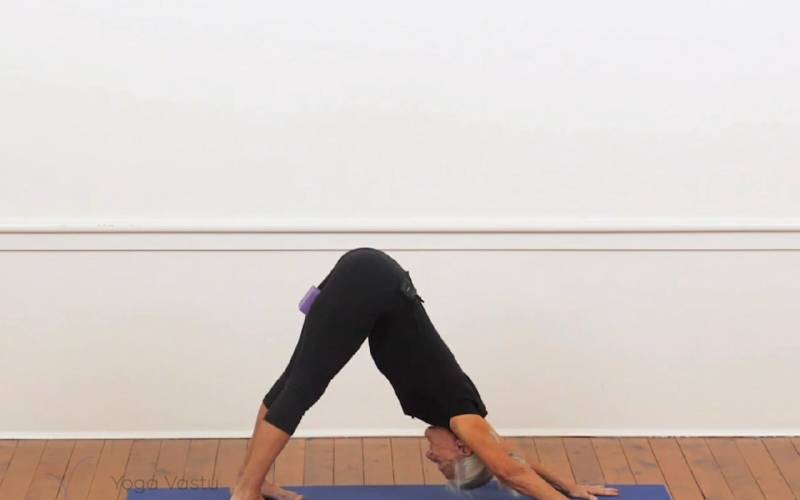 Intense Side Stretch Pose (Parsva Uttanasana) | Iyengar Yoga