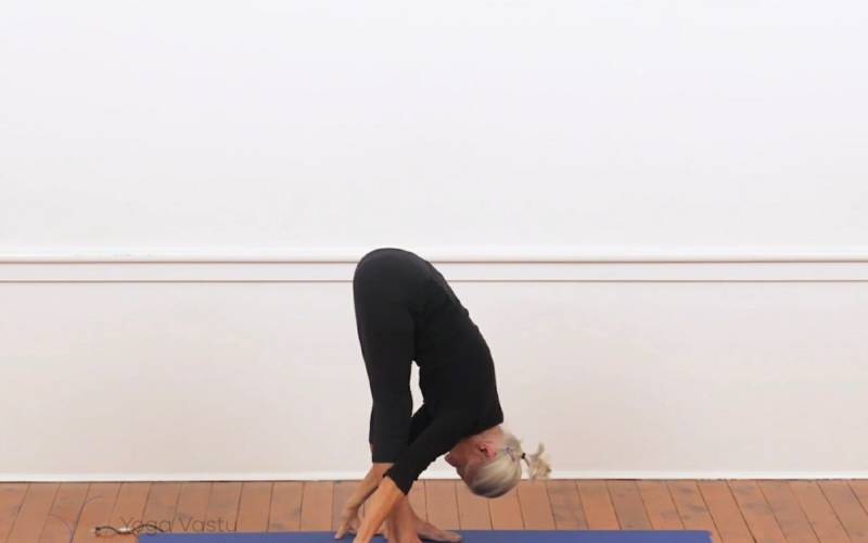 Intense Side Stretch Pose (Parsva Uttanasana) | Iyengar Yoga