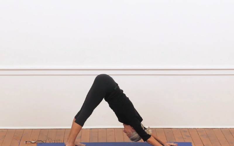 Intense Side Stretch Pose (Parsva Uttanasana) | Iyengar Yoga