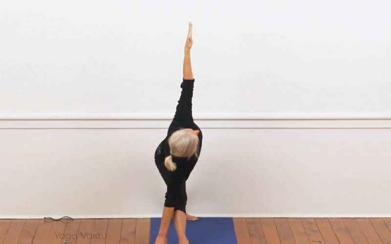 Intense Side Stretch Pose (Parsva Uttanasana) | Iyengar Yoga