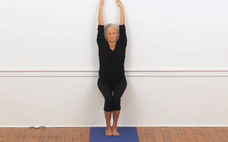 Intense Side Stretch Pose (Parsva Uttanasana) | Iyengar Yoga