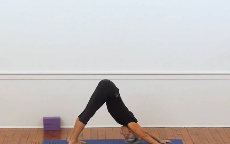 Upward Facing Dog Pose (Urdhva Mukha Svanasana) | Iyengar Yoga