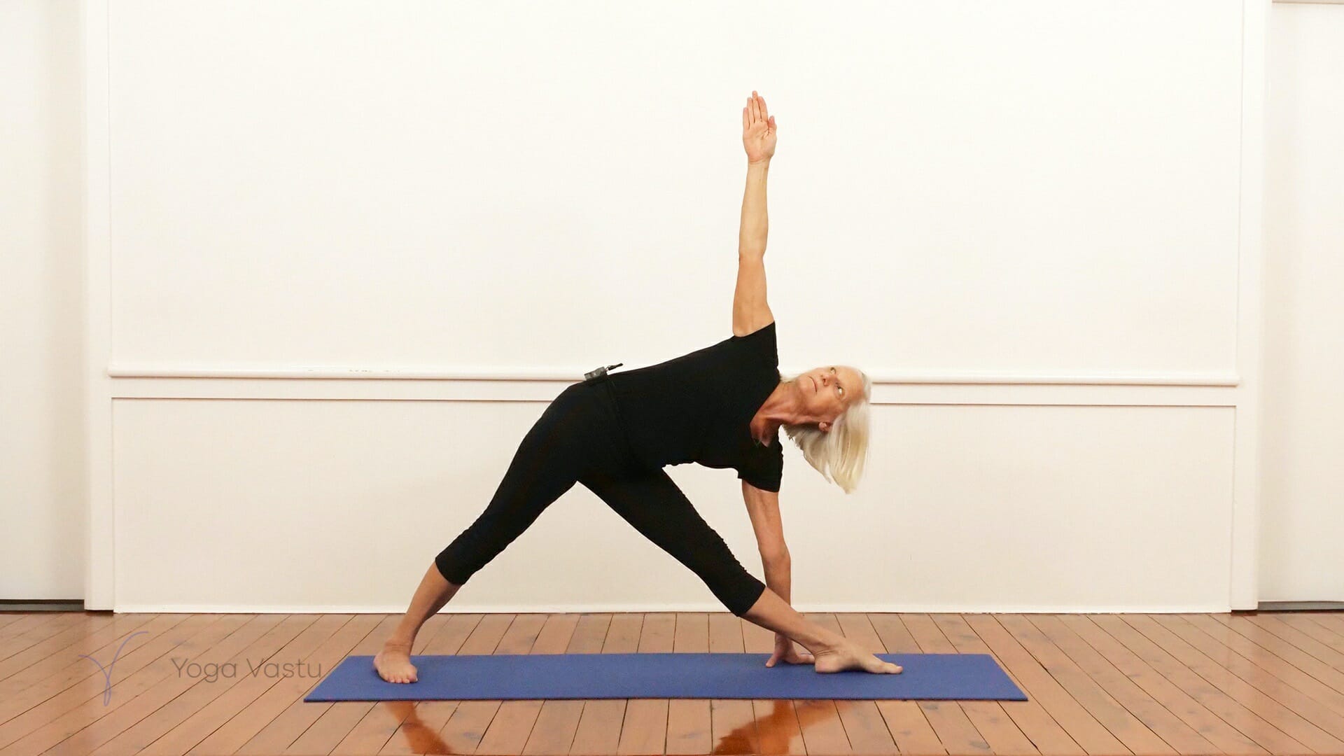 Standing Pose Sequence for Experienced Students - Yoga Vastu