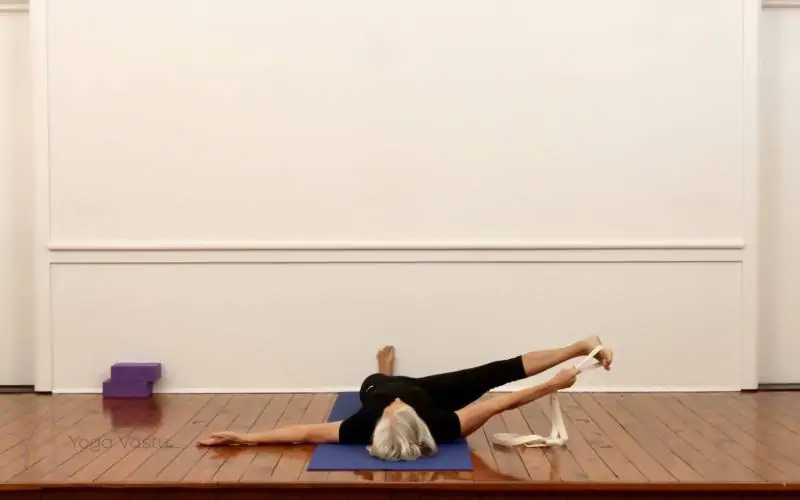 Revolved Side Angle Pose (Parivritta Parsvakonasana) | Iyengar Yoga