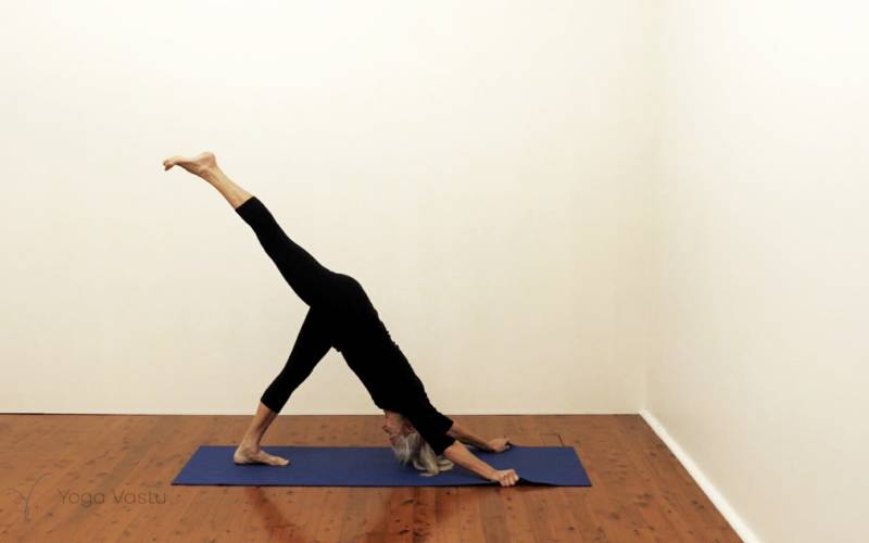 Standing Split Pose (Urdhva Prasarita Eka Padasana) | Iyengar Yoga