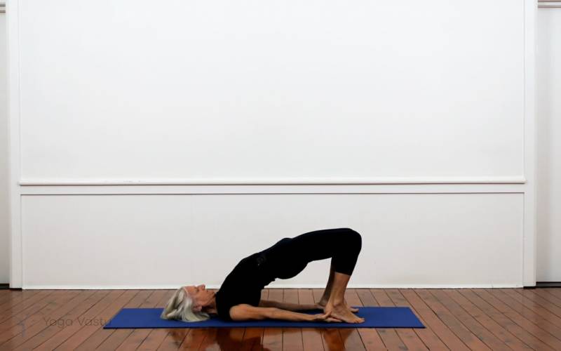 Bridge Pose (Setu Bandha Sarvangasana) | Iyengar Yoga