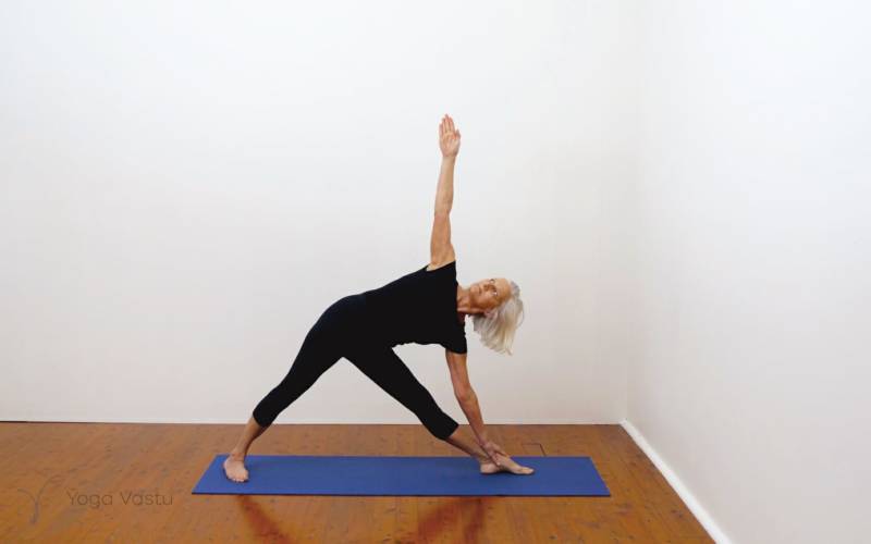 Revolved Triangle Pose (Parivritta Trikonasana) | Iyengar Yoga
