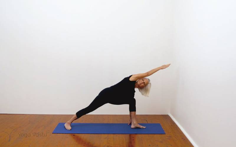 Revolved Triangle Pose (Parivritta Trikonasana) | Iyengar Yoga