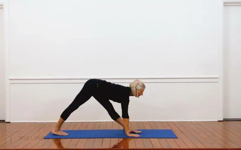 Intense Side Stretch Pose (Parsva Uttanasana) | Iyengar Yoga
