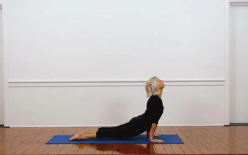 Intense Side Stretch Pose (Parsva Uttanasana) | Iyengar Yoga