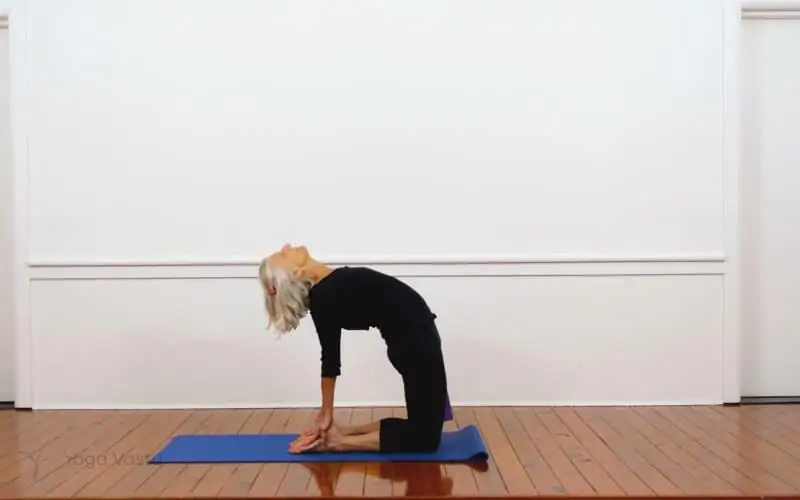 Intense Side Stretch Pose (Parsva Uttanasana) | Iyengar Yoga