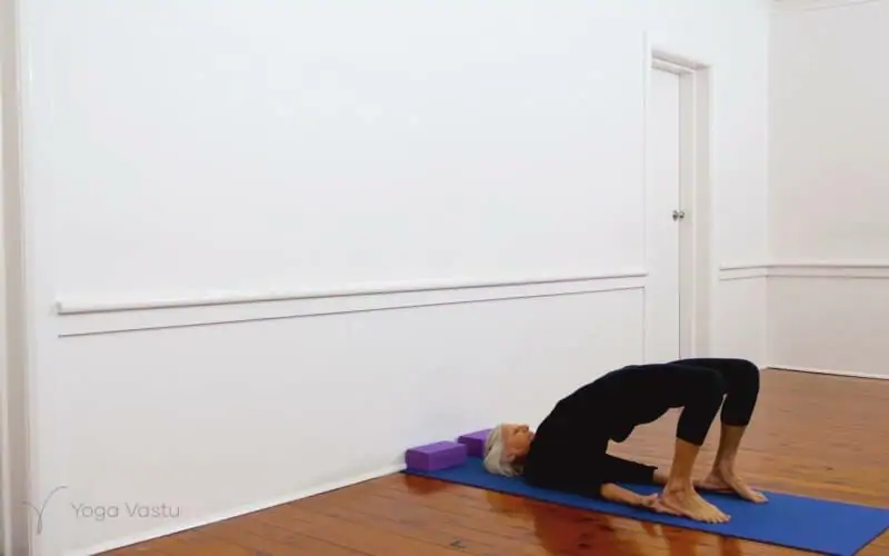Intense Side Stretch Pose (Parsva Uttanasana) | Iyengar Yoga