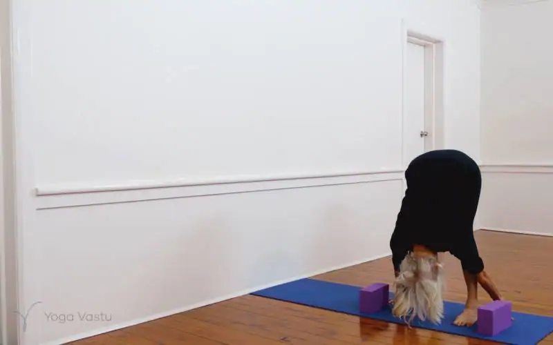 Intense Side Stretch Pose (Parsva Uttanasana) | Iyengar Yoga