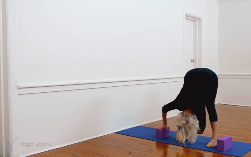 Intense Side Stretch Pose (Parsva Uttanasana) | Iyengar Yoga
