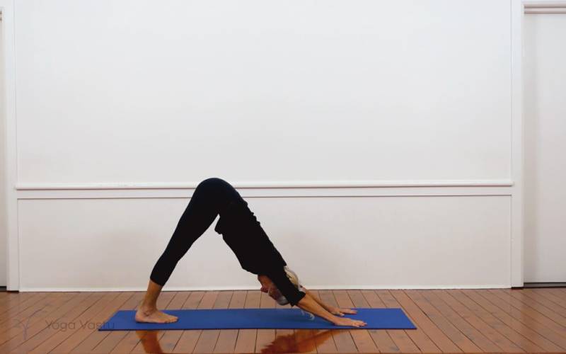 Bridge Pose (Setu Bandha Sarvangasana) | Iyengar Yoga