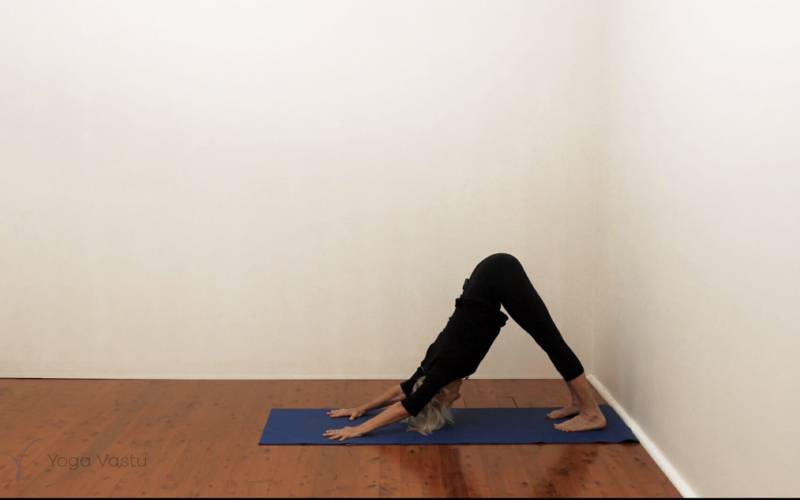 Reverse Prayer Pose (Paschima Namaskar) | Iyengar Yoga