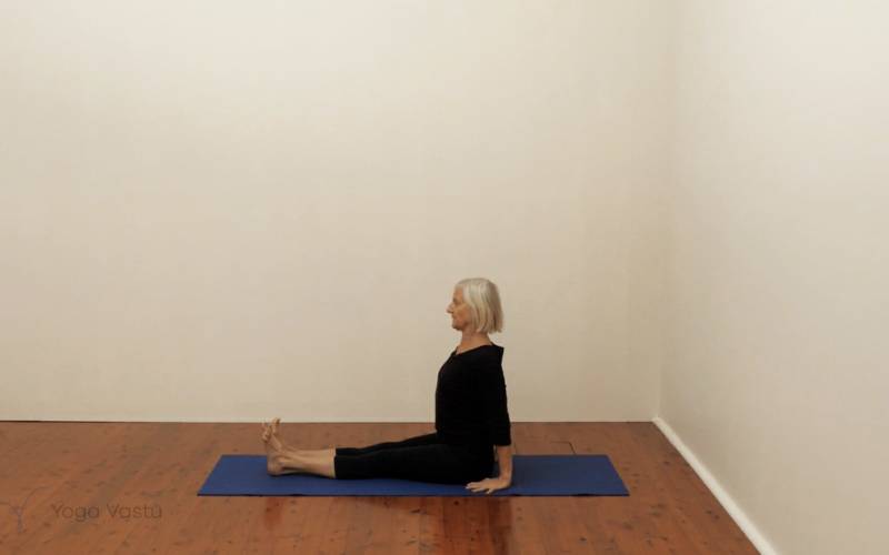 Staff Pose (Dandasana) | Iyengar Yoga