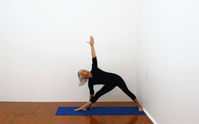Building stability and focus in your yoga poses - Yoga Vastu
