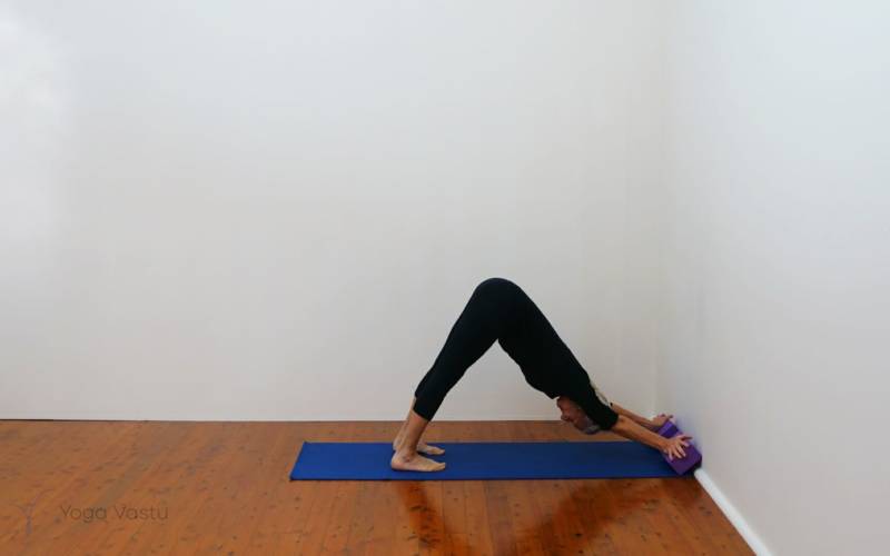 Eagle Pose (Garudasana) | Iyengar Yoga